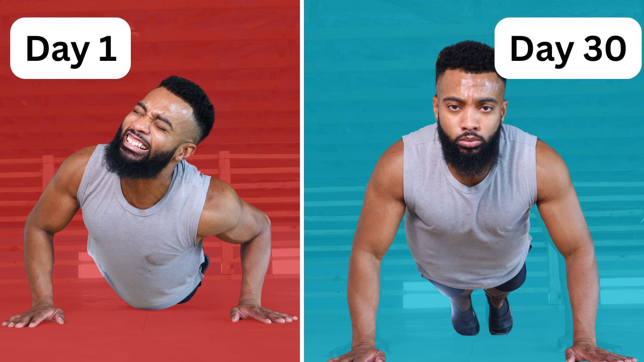 MuscleWiki - Simplify your workout | 2000+ Free Exercise Videos & Guides