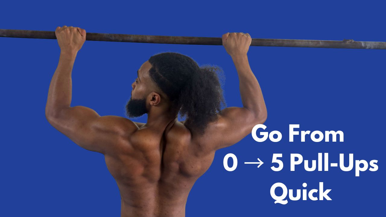 MuscleWiki - Simplify your workout