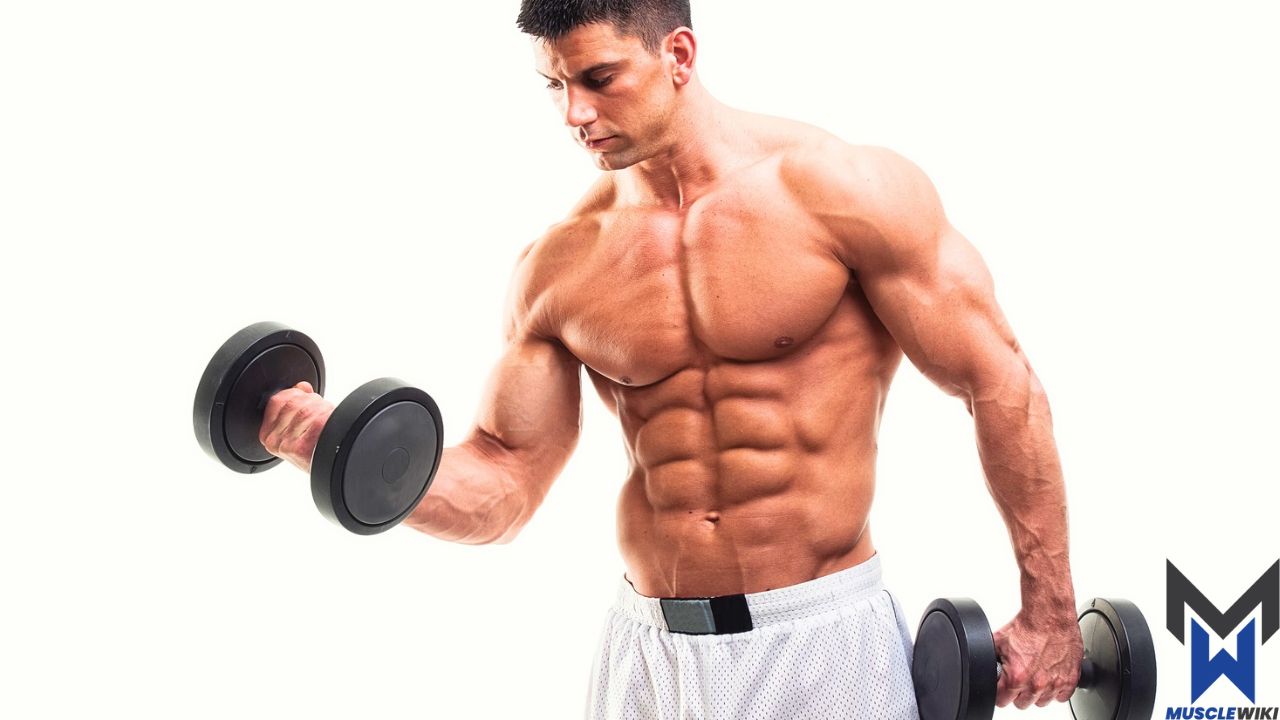 Advanced Bodybuilder Split Routine Routine | Training Program - MuscleWiki