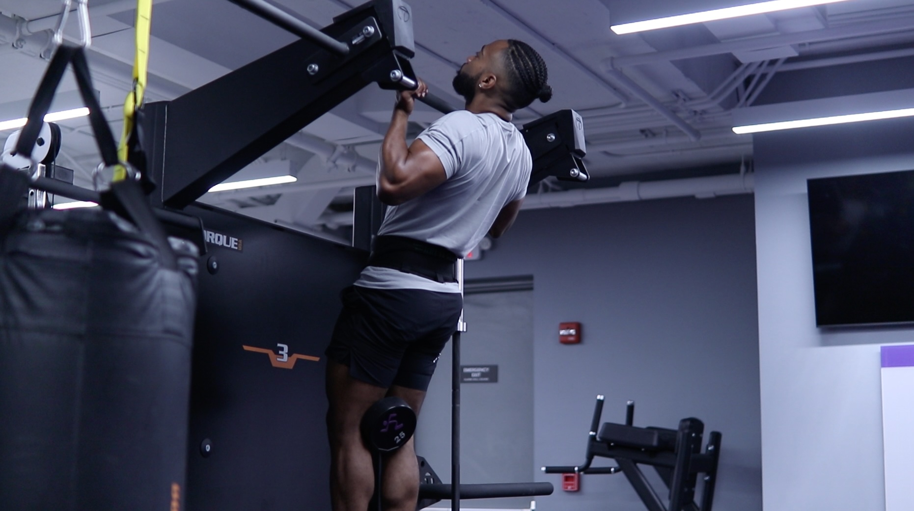 MuscleWiki - Simplify your workout | 2000+ Free Exercise Videos & Guides