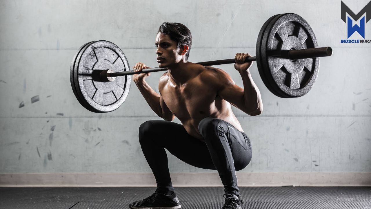 MuscleWiki - Simplify your workout | 2000+ Free Exercise Videos & Guides