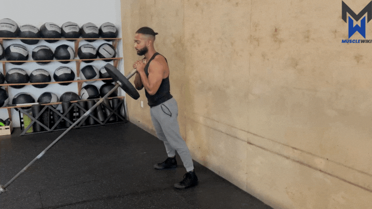 MuscleWiki - Simplify your workout | 2000+ Free Exercise Videos & Guides