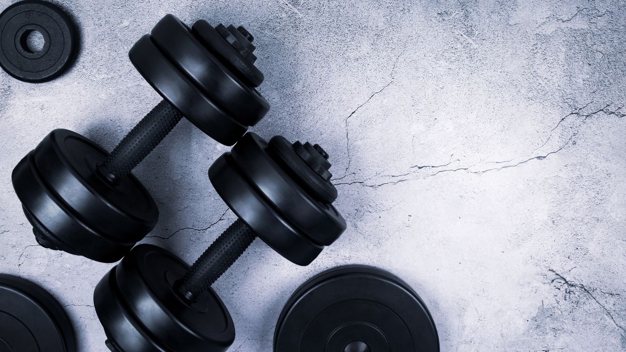 MuscleWiki - Simplify your workout