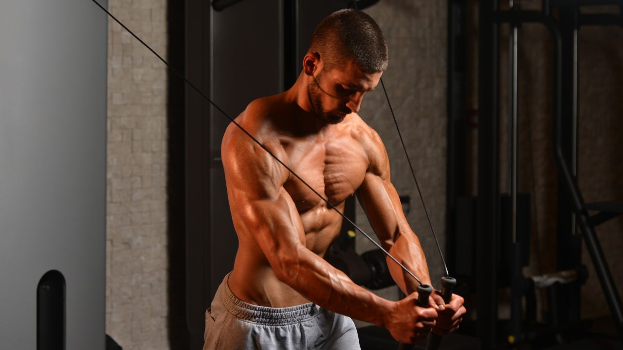 Beginner Science Based Chest Routine Routine | Training Program ...