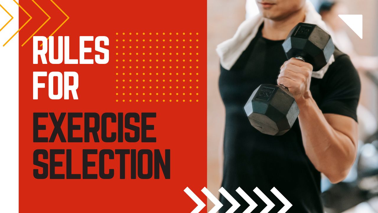 MuscleWiki - Simplify your workout