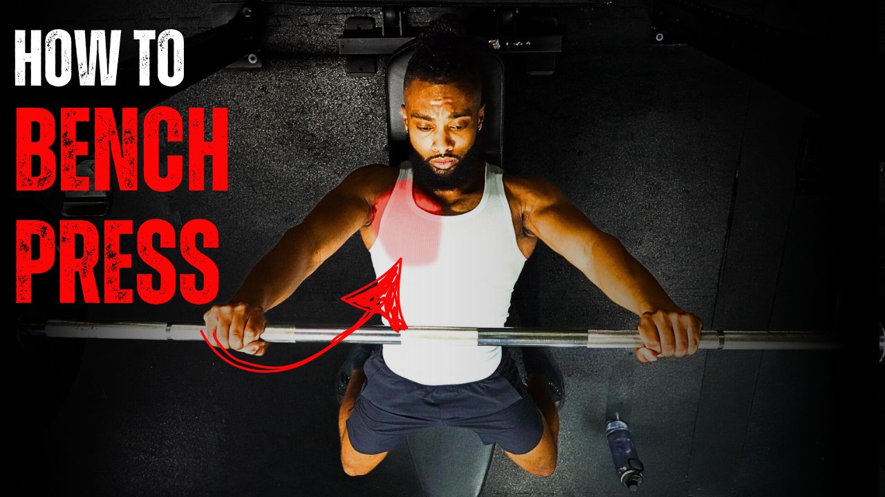 MuscleWiki - Simplify your workout