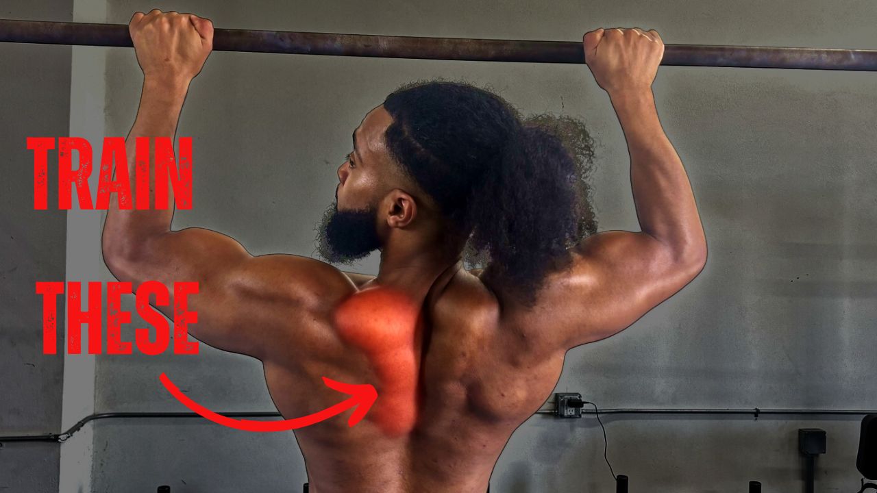 MuscleWiki - Simplify your workout