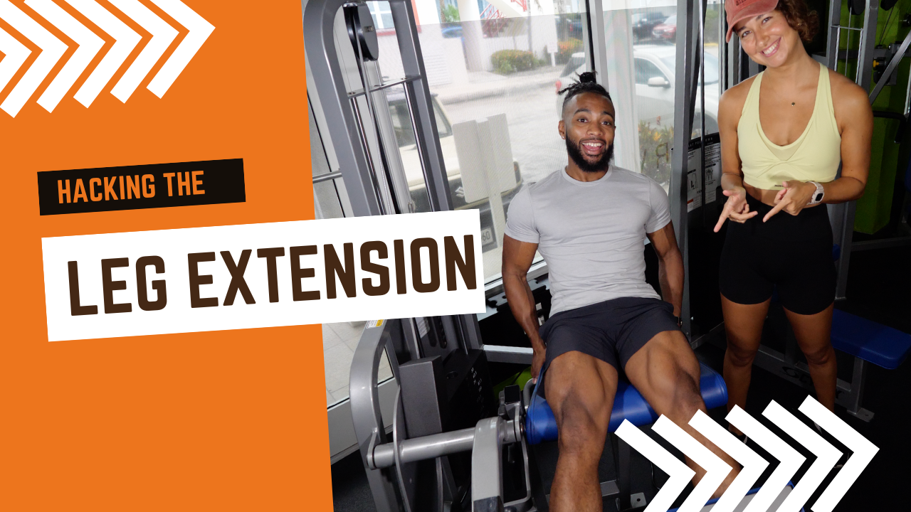 MuscleWiki - Simplify Your Workout