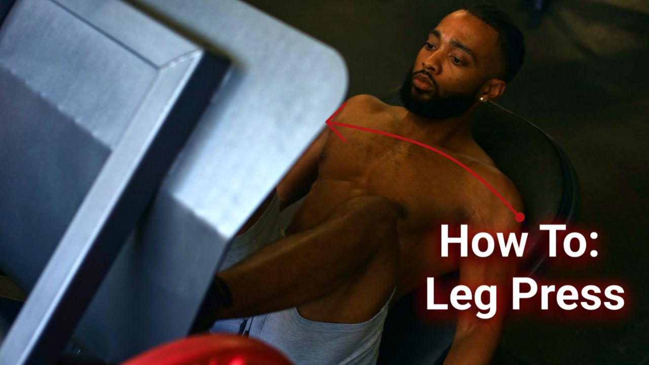 MuscleWiki - Simplify your workout