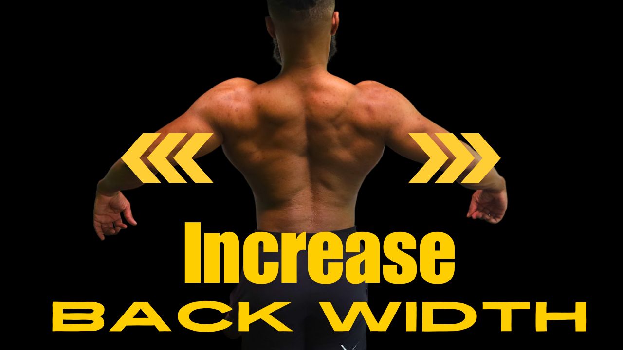 MuscleWiki - Simplify your workout