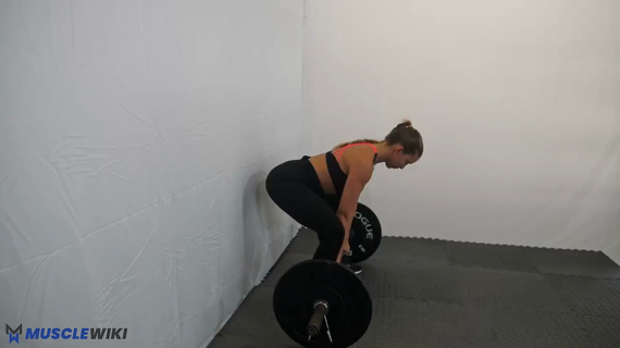 MuscleWiki - Simplify your workout