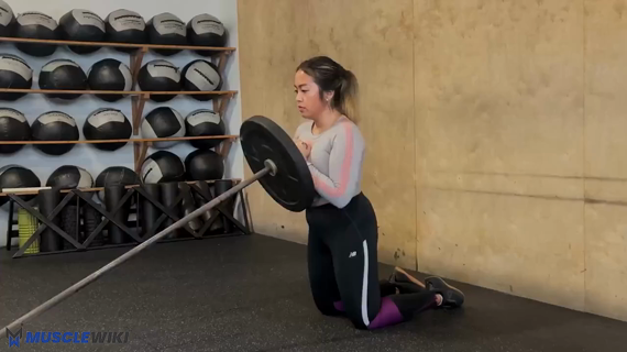 MuscleWiki - Simplify your workout