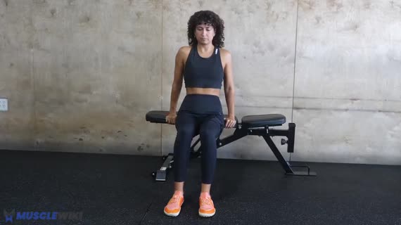 MuscleWiki - Simplify your workout