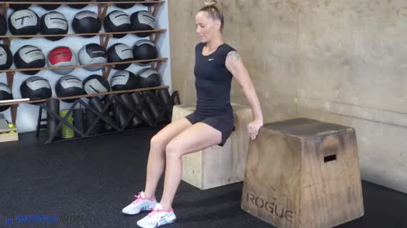 MuscleWiki - Simplify your workout