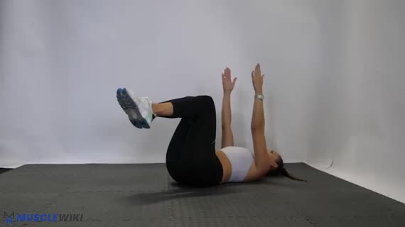 MuscleWiki - Simplify your workout