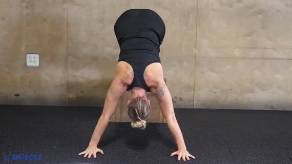 Body Rock Pike Press