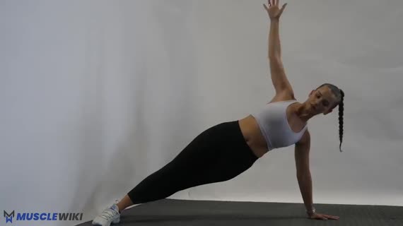 MuscleWiki - Simplify your workout