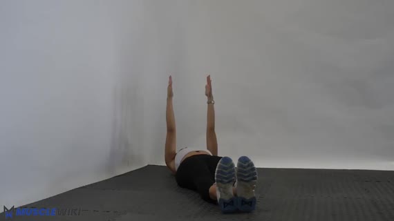 MuscleWiki - Simplify your workout