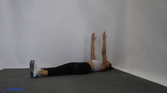 MuscleWiki - Simplify your workout