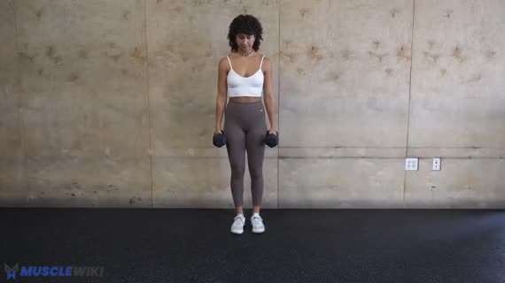 MuscleWiki - Simplify your workout