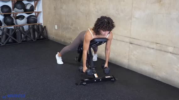 MuscleWiki - Simplify your workout