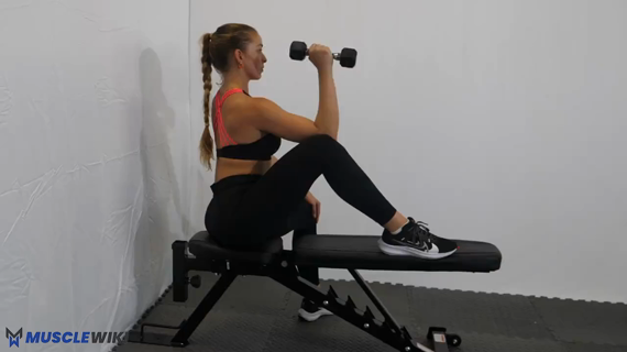 MuscleWiki - Simplify your workout