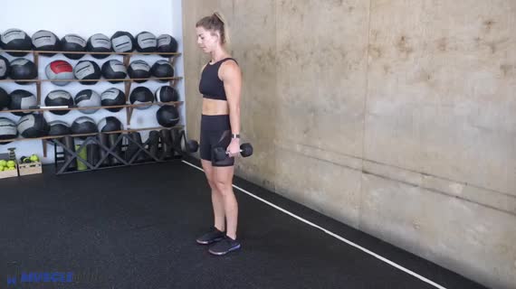 MuscleWiki - Simplify your workout