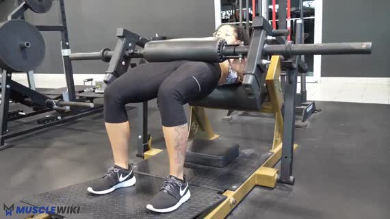 MuscleWiki - Simplify your workout