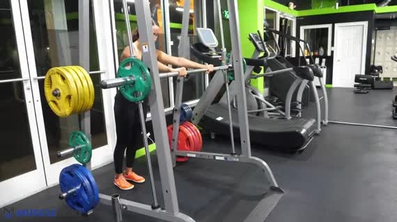 MuscleWiki - Simplify your workout