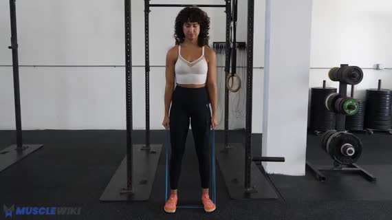 MuscleWiki - Simplify your workout