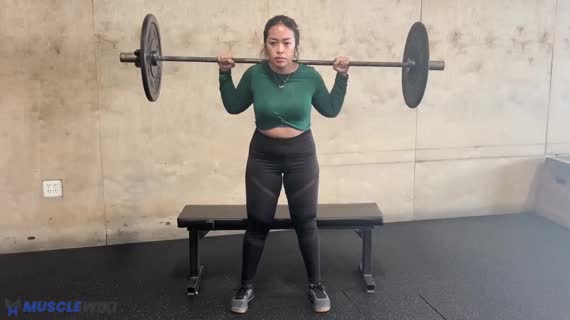 MuscleWiki - Simplify your workout