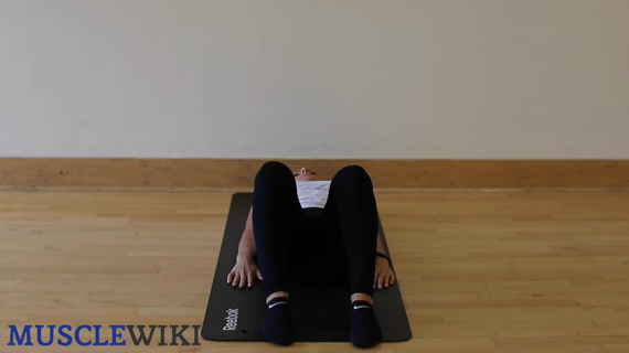 MuscleWiki - Simplify your workout