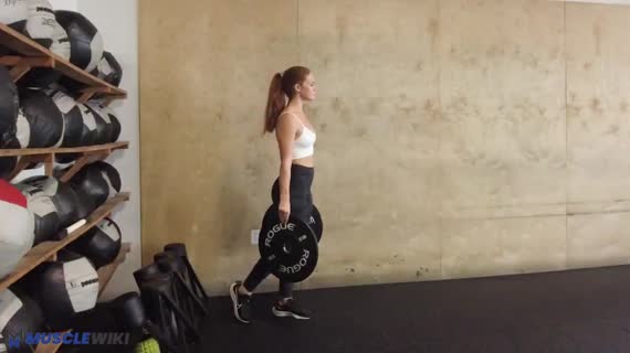 MuscleWiki - Simplify your workout