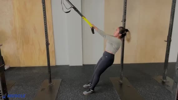 MuscleWiki - Simplify your workout