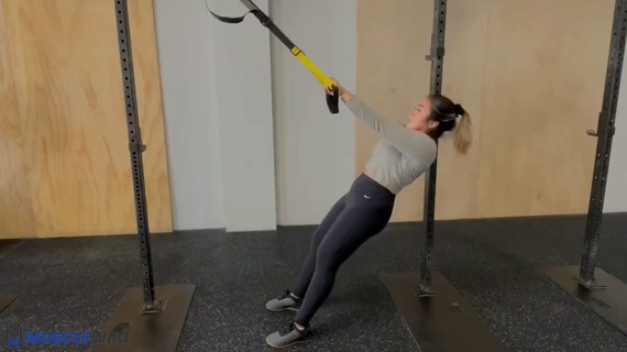 MuscleWiki - Simplify your workout