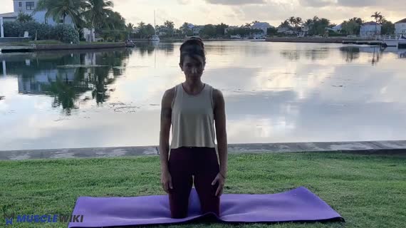 MuscleWiki - Simplify your workout