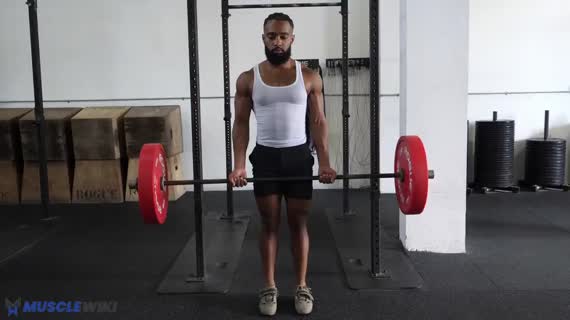 MuscleWiki - Simplify your workout