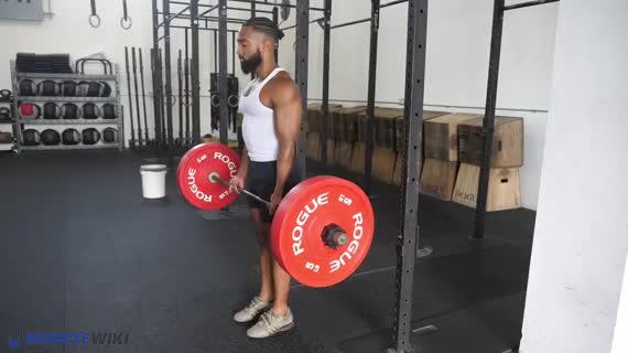 MuscleWiki - Barbell Drag Curl - Biceps