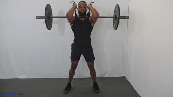 MuscleWiki - Simplify your workout