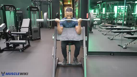 Musclewiki Simplify Your Workout