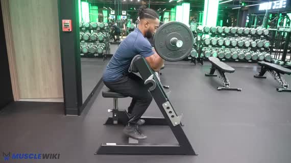 MuscleWiki - Simplify your workout