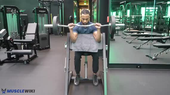 MuscleWiki - EZ Bar Reverse Preacher Curl - Biceps