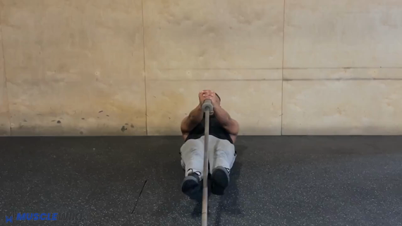 MuscleWiki - Simplify your workout