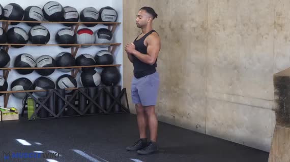 MuscleWiki - Simplify your workout