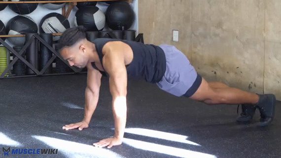 MuscleWiki - Simplify your workout