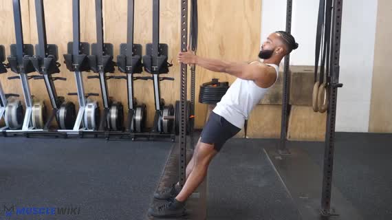 MuscleWiki - Simplify your workout