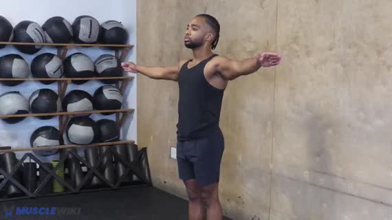 MuscleWiki - Simplify your workout