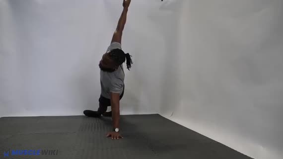 MuscleWiki - Simplify your workout