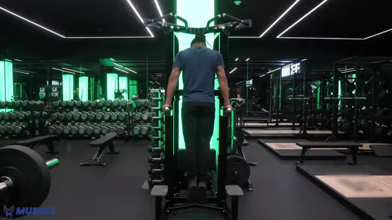 MuscleWiki - Parallel Bar Dips - Chest