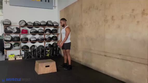 MuscleWiki - Simplify your workout